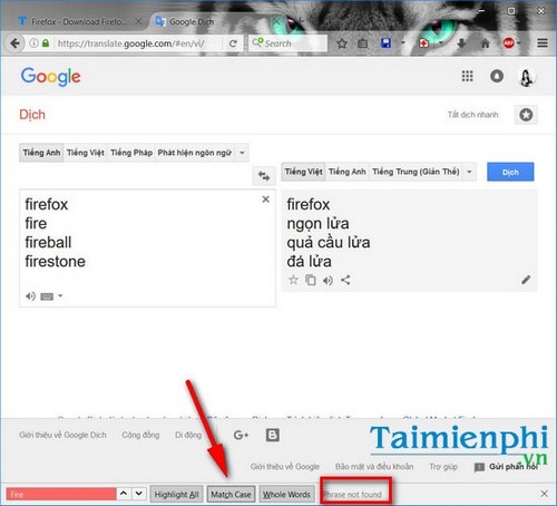 Firefox 50 ra mắt, cải tiến hiệu suất khởi động gấp 35%