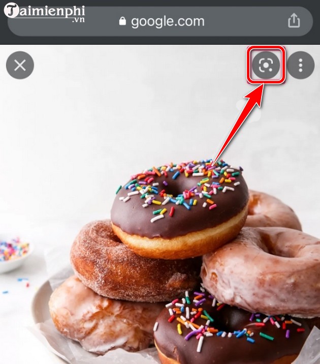 Cách tìm kiếm bằng hình ảnh trên iPhone đơn giản nhất