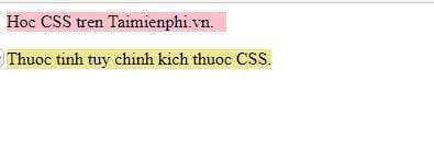 Thuộc tính tùy chỉnh kích thước trong CSS, cú pháp và ví dụ minh họa