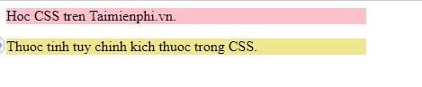 Thuộc tính tùy chỉnh kích thước trong CSS, cú pháp và ví dụ minh họa