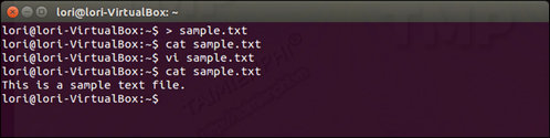 Cách tạo file Text bằng Terminal trên Linux