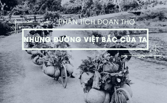 Bài văn Phân tích đoạn thơ sau: "Những đường Việt Bắc của ta...Vui lên