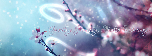 Discover exquisite Facebook cover photos for February, dazzling with a ...