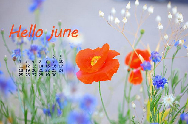 Beautiful June images, welcoming the vibrant colors of the month.
